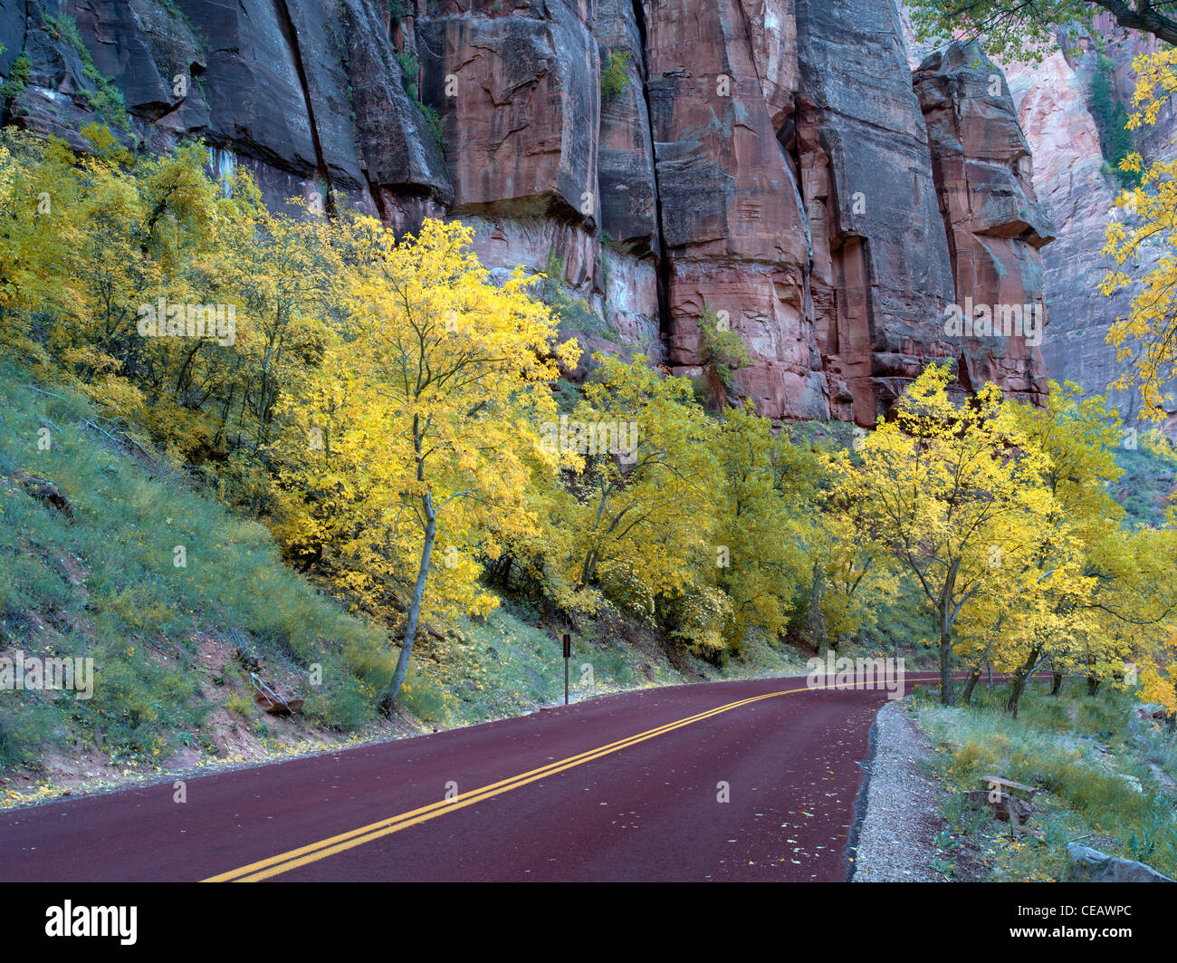 Road with fall color. Zion National Park, Utah Stock Photo - Alamy