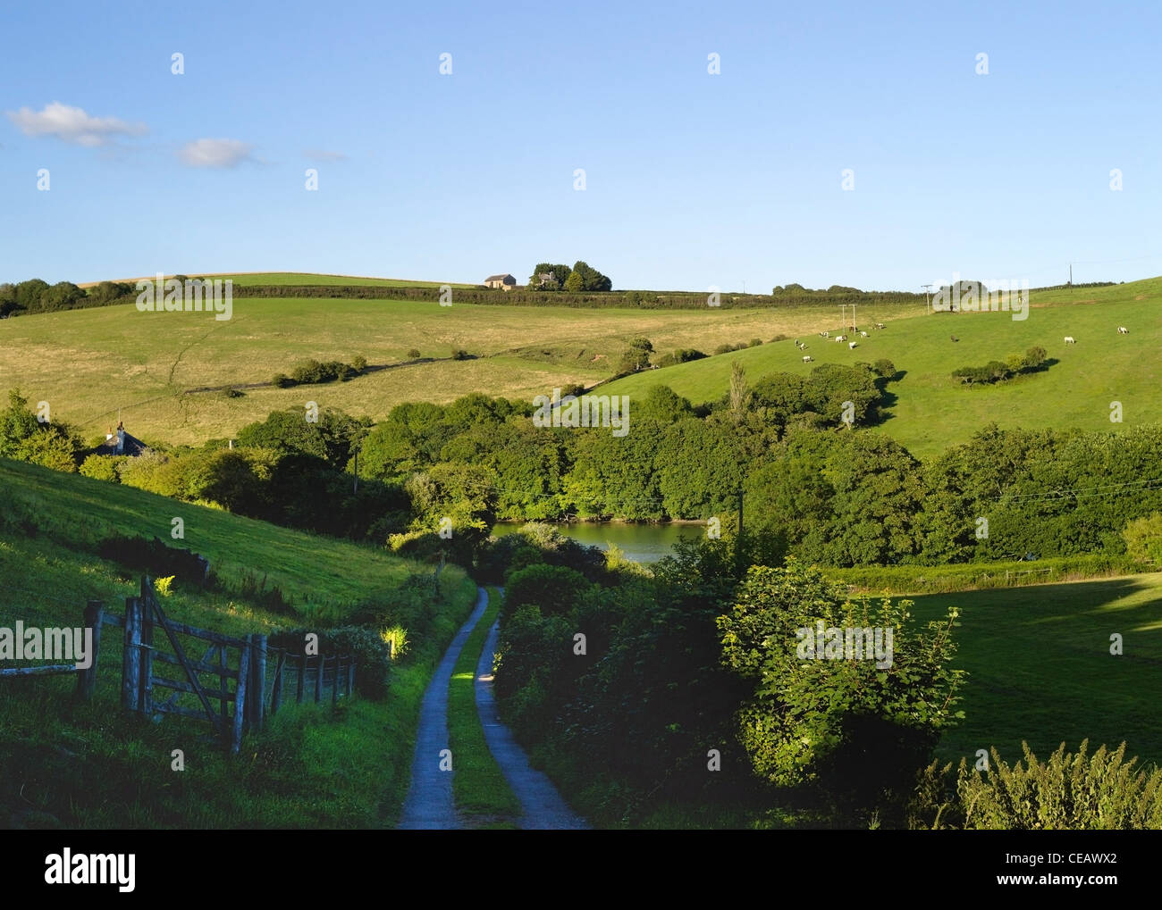 Estuary images hi-res stock photography and images - Alamy