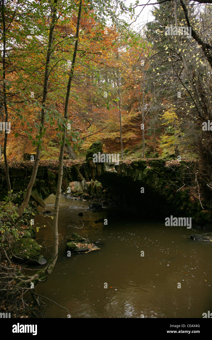 Valleyfield woodland park hi-res stock photography and images - Alamy