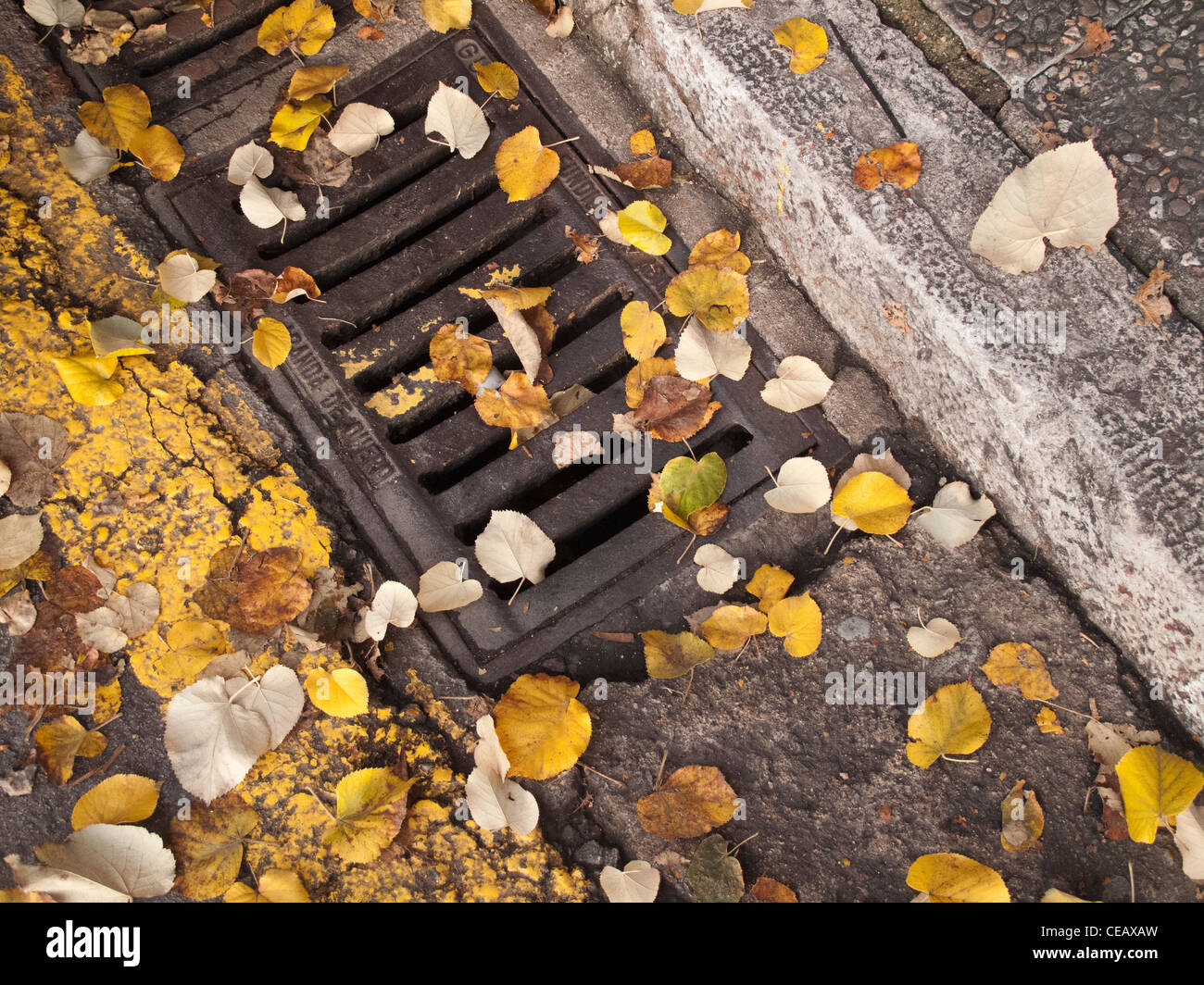 Catch basin hi-res stock photography and images - Alamy