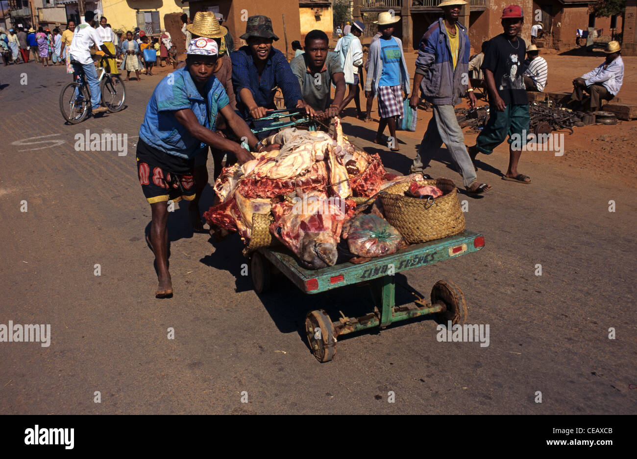 Meat Delivery on Push Cart or Hand Cart at Ambalavao Central Madagascar ...