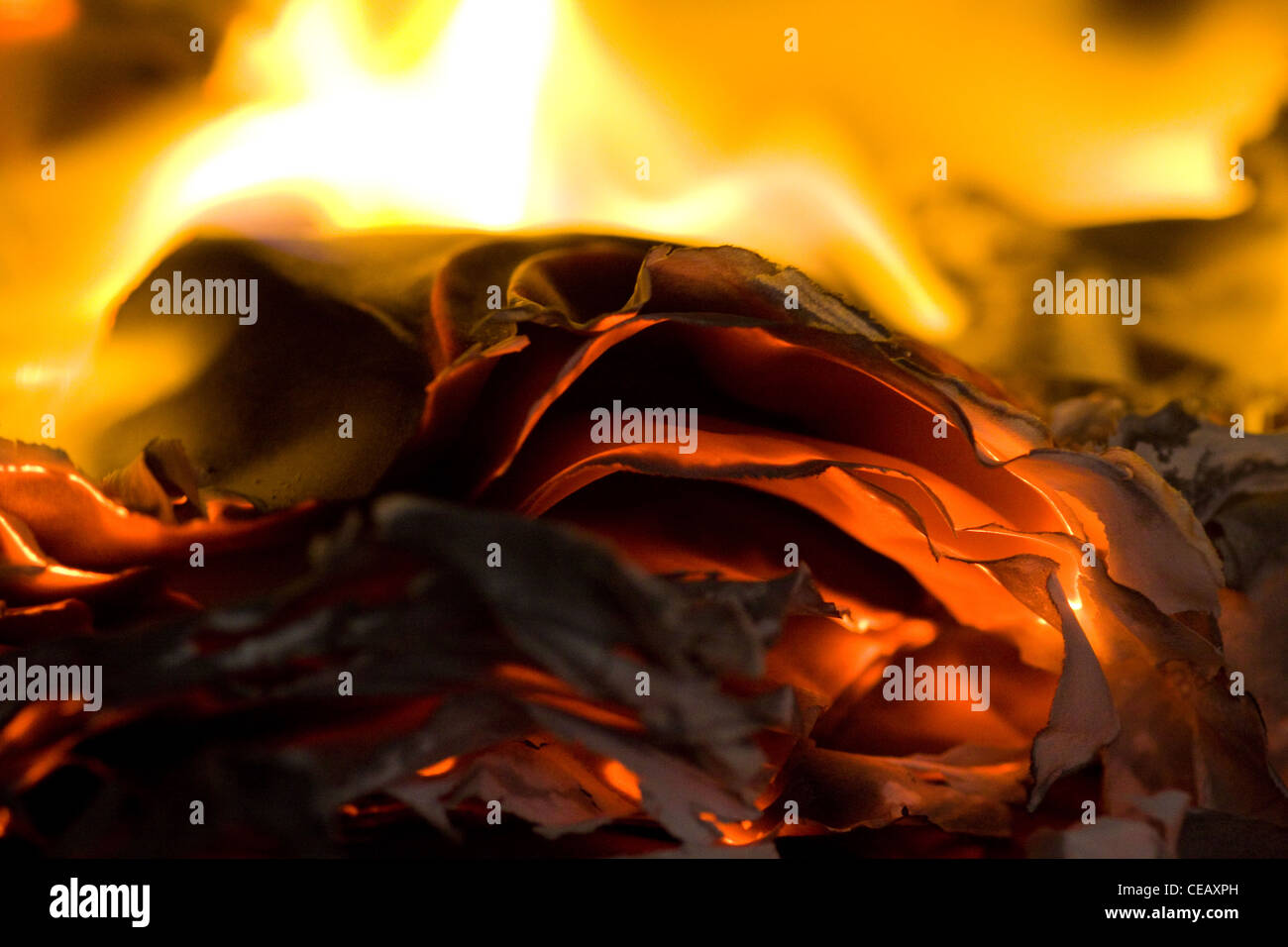 Burnt paper ash hi-res stock photography and images - Alamy