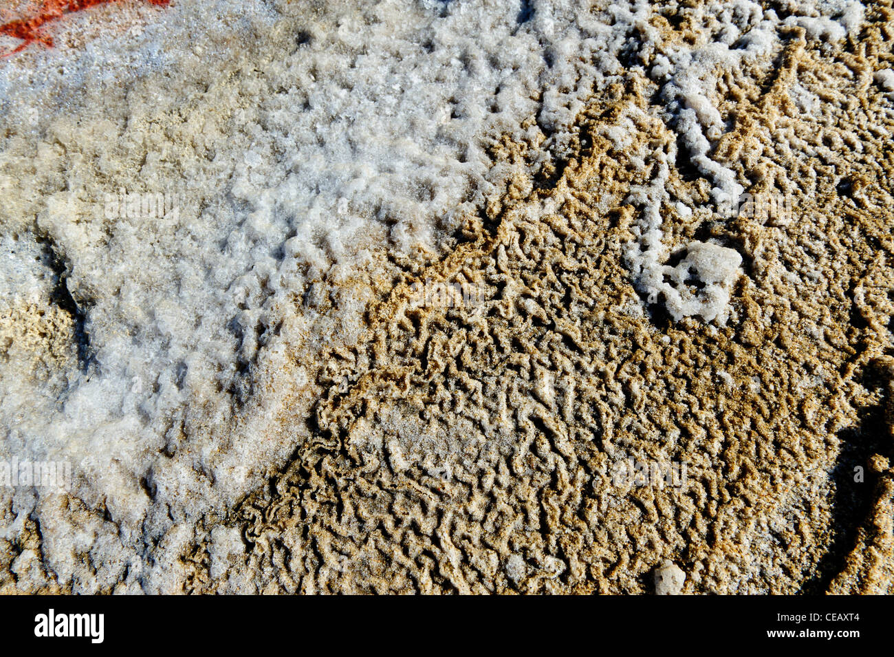 Salt rim pan hi-res stock photography and images - Alamy