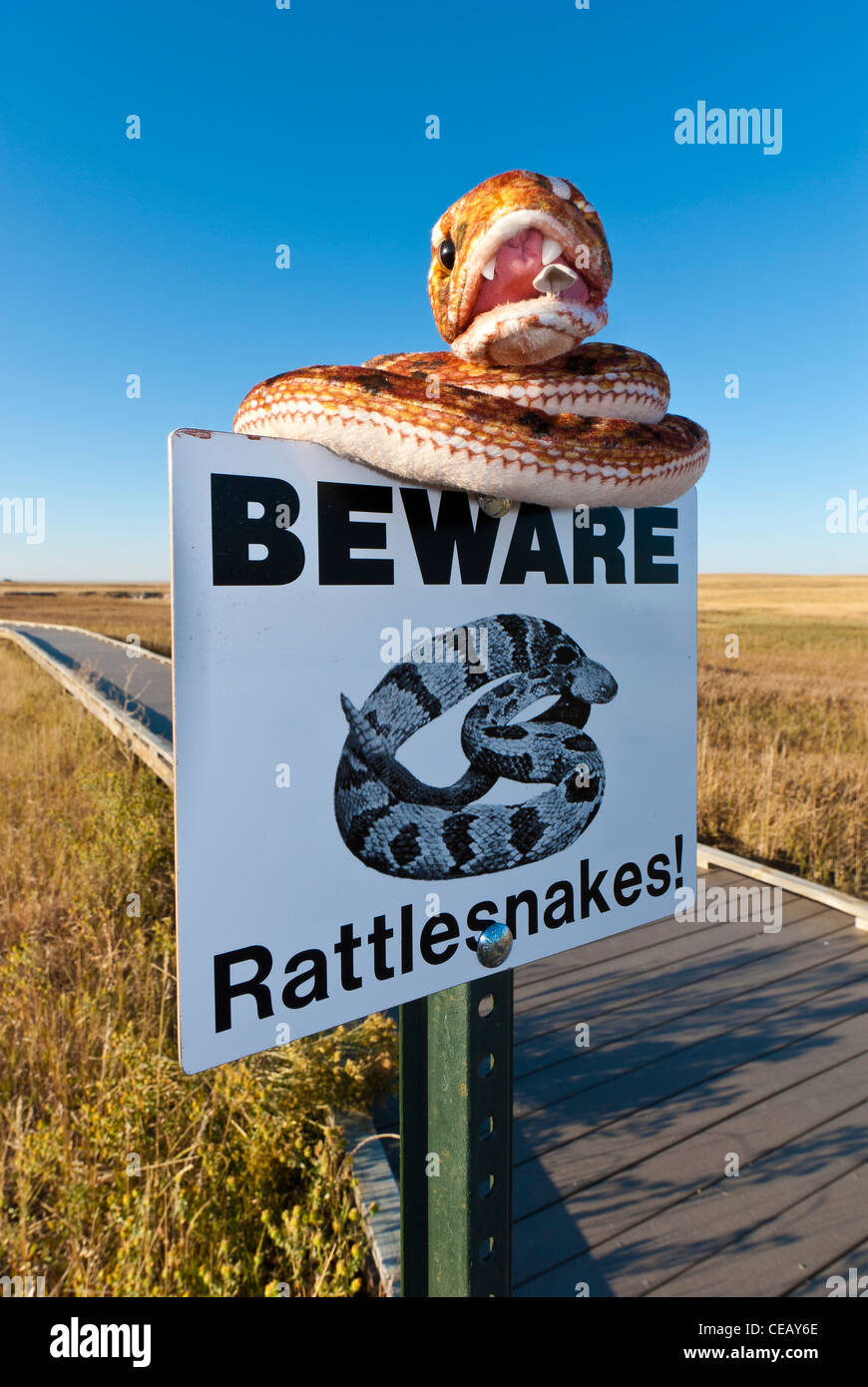Beware Rattlesnakes warning sign, Bigfoot Pass Overlook, Badlands ...