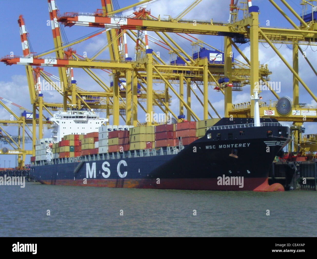 The container ship MSC Monterey at the container terminal of ...