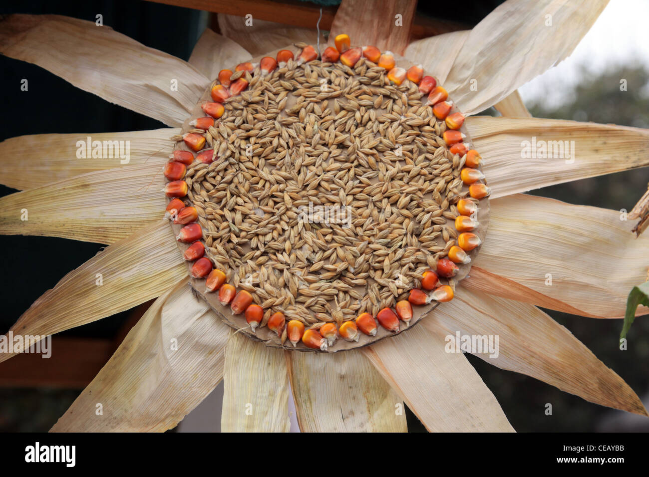 Colorful handmade flowers made of corn and grains Stock Photo - Alamy