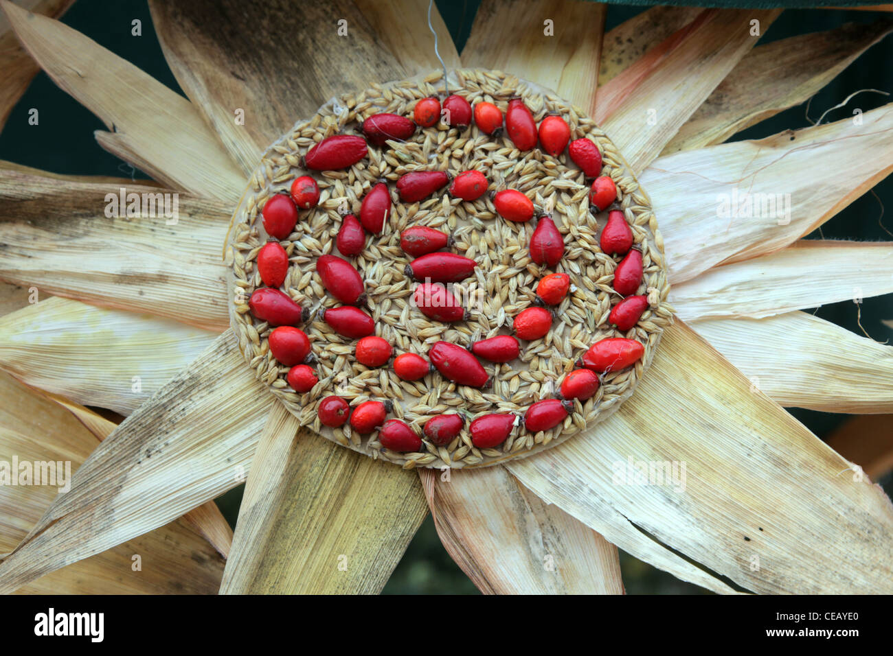 Colorful handmade flowers made of corn and grains Stock Photo - Alamy