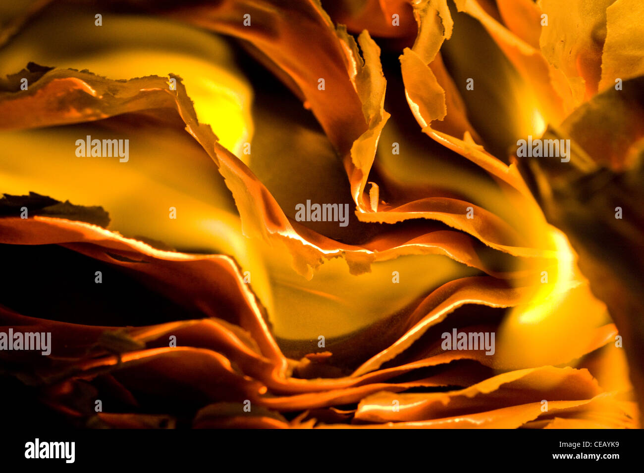 Burnt paper hi-res stock photography and images - Alamy