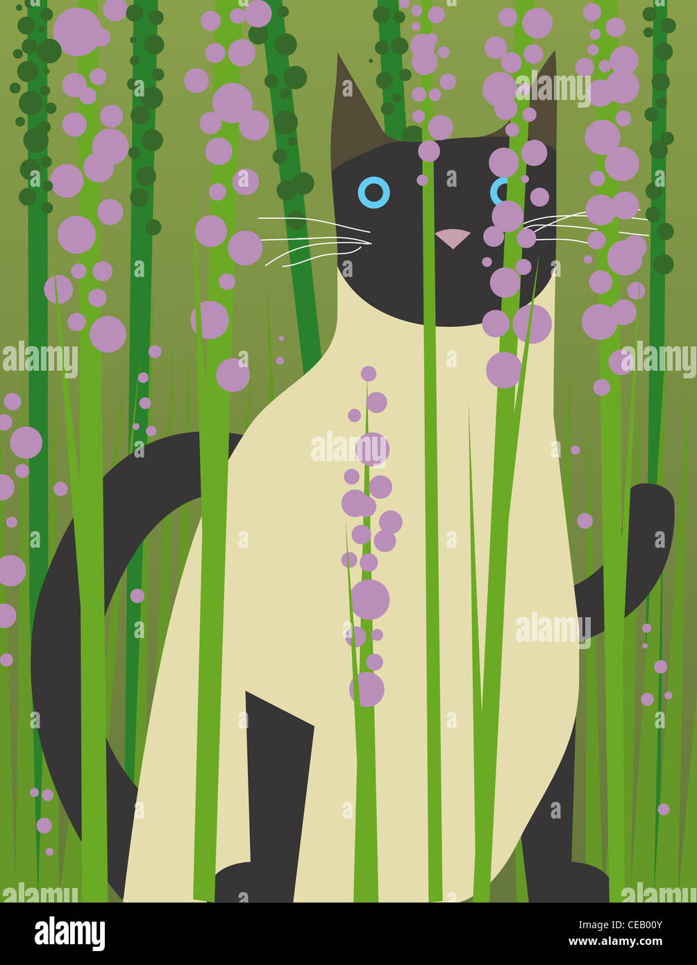 Siamese cat looks through plants Stock Photo - Alamy