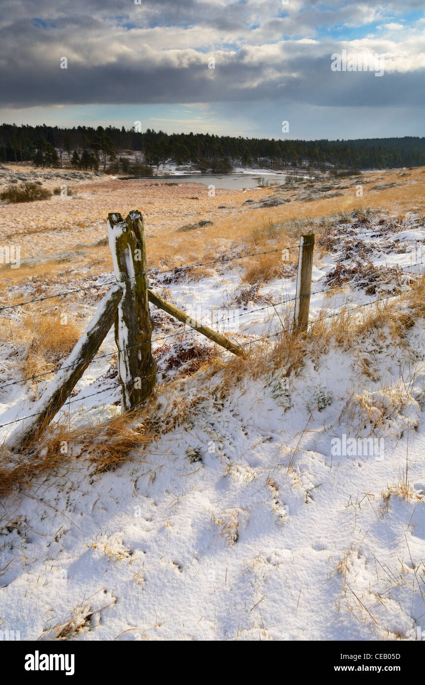 Priddy somerset march hi-res stock photography and images - Alamy