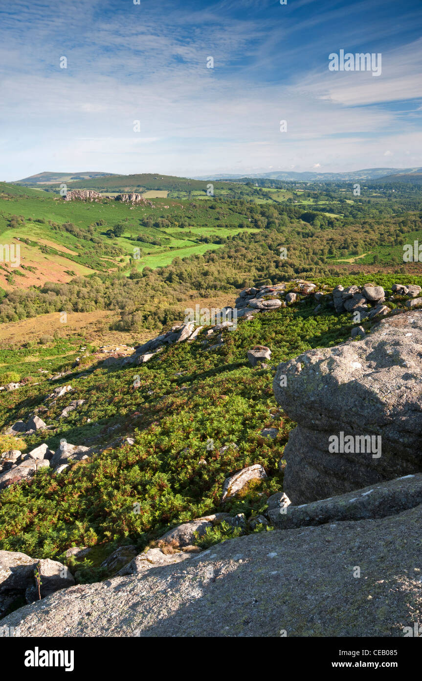 Dartmoor view hi-res stock photography and images - Alamy
