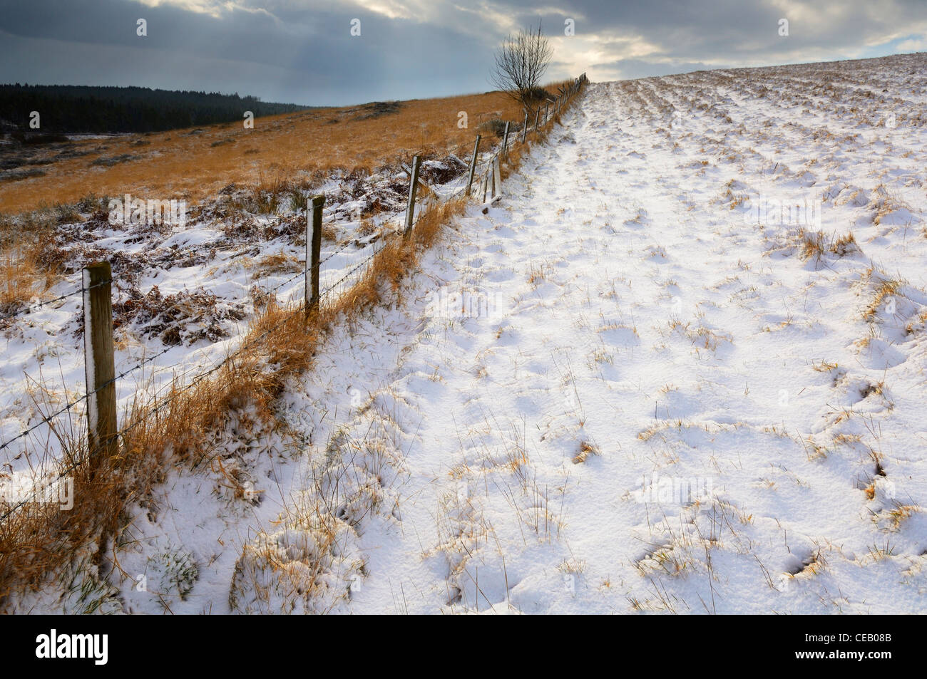 Snow at North Hill on the Mendip Hills near Priddy, Somerset, England ...