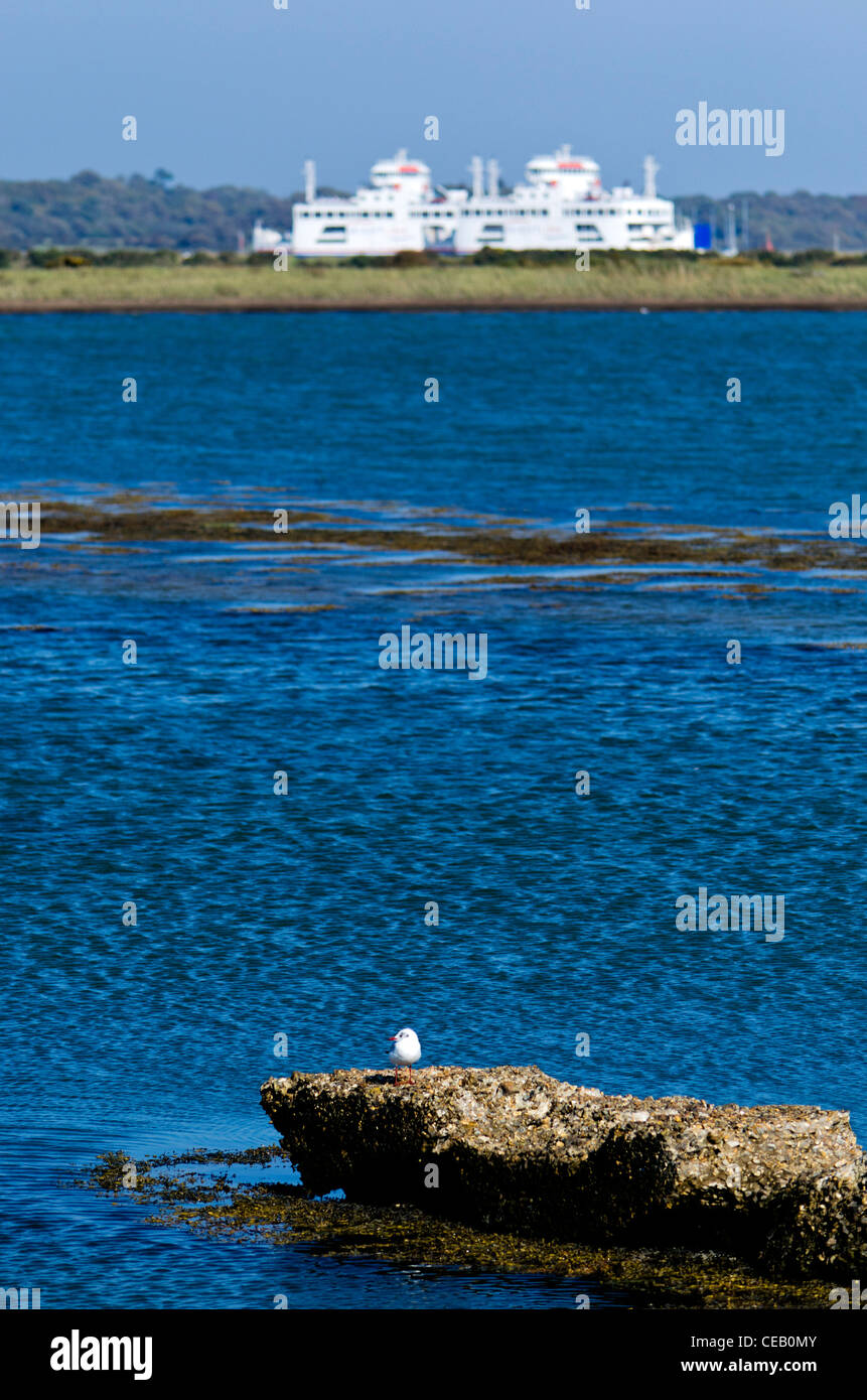 solent way footpath lymington hampshire Stock Photo - Alamy