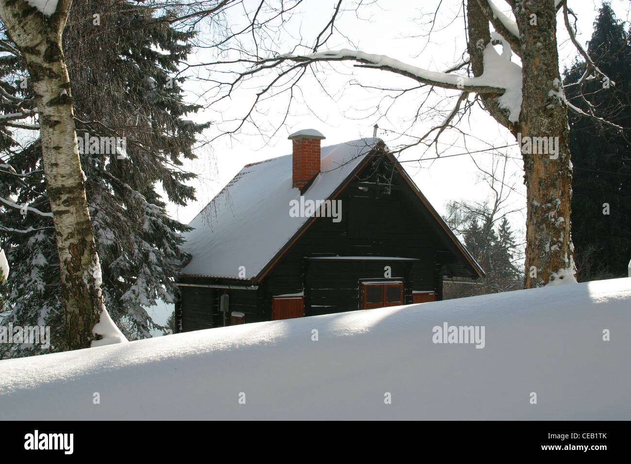 House covered in snow in winter Stock Photo - Alamy