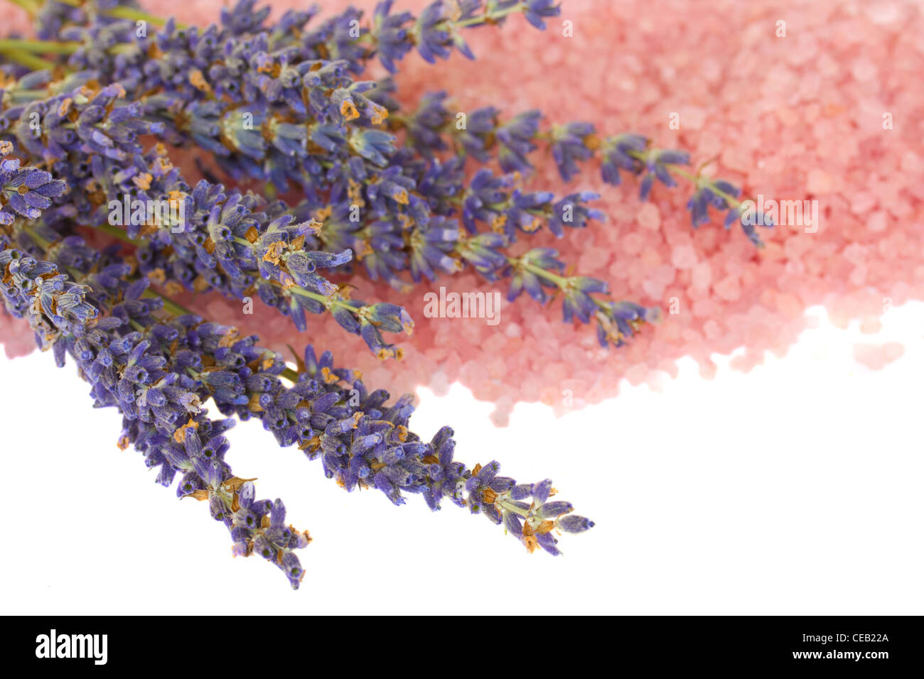 dry lavender with sea salt isolated on white background Stock Photo - Alamy