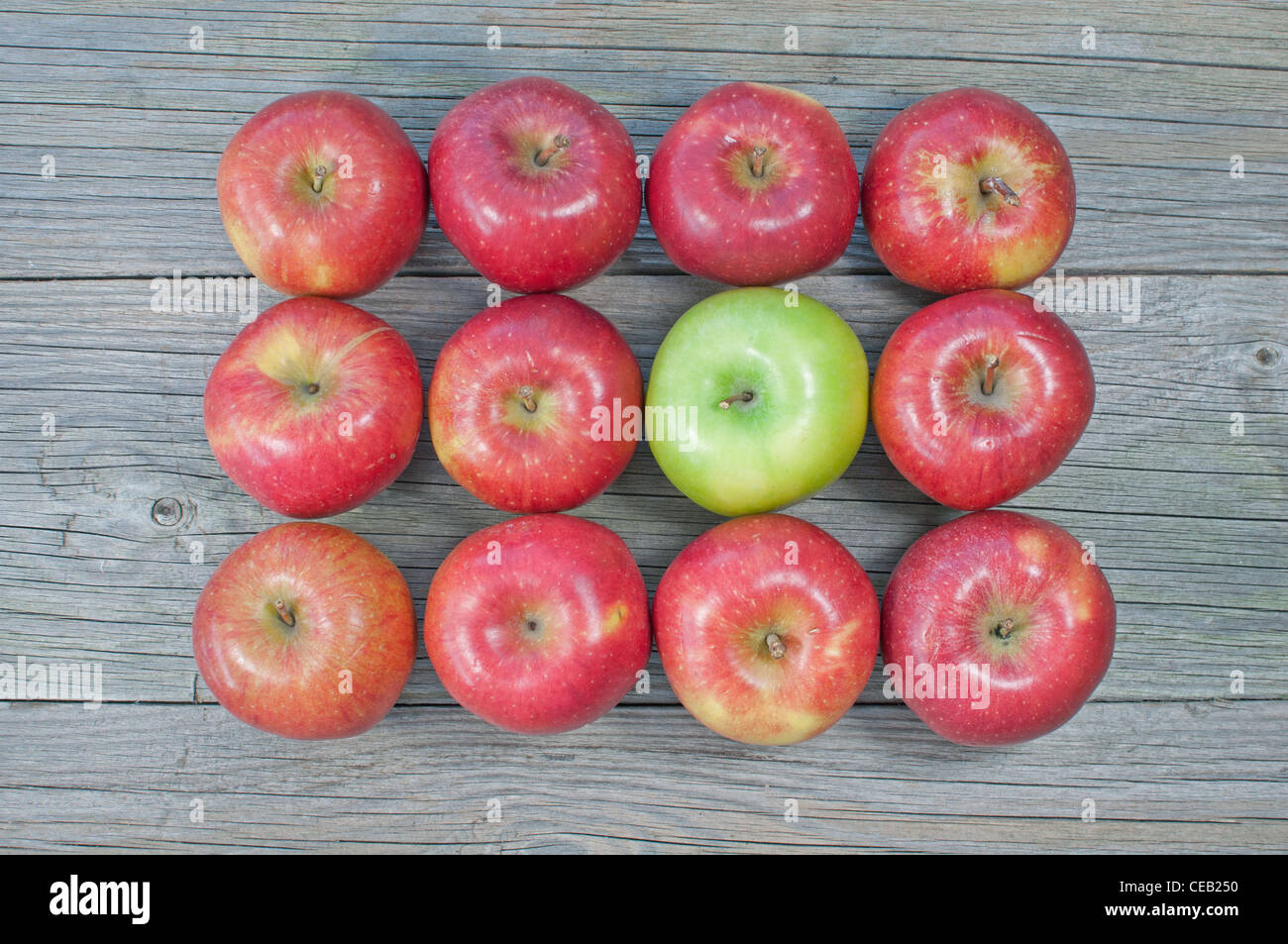 Stand out hi-res stock photography and images - Alamy
