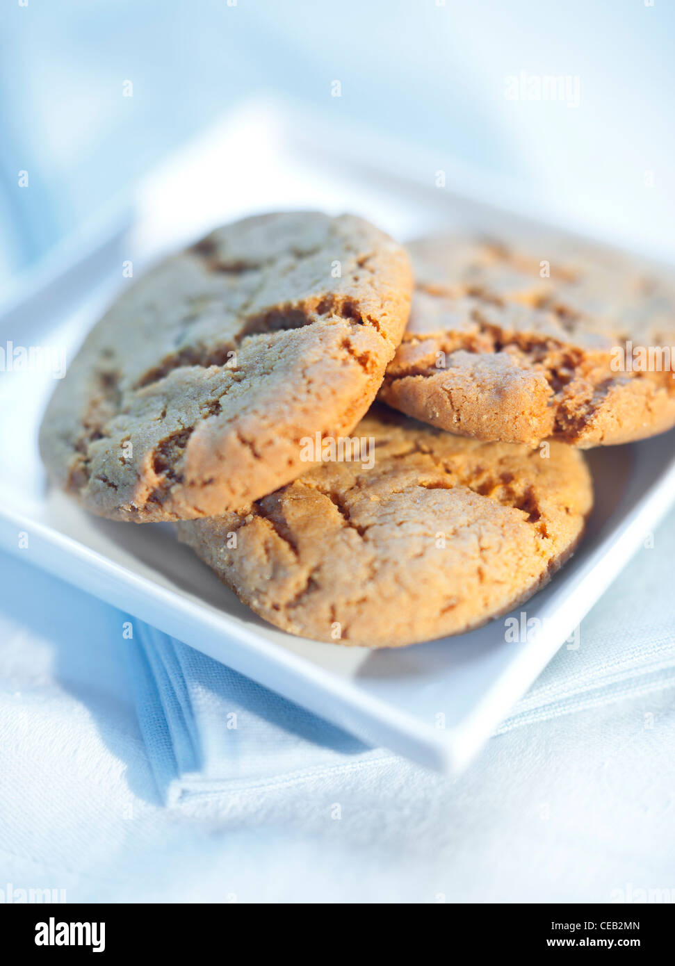 Ginger snap cookies (biscuits) served on white table-ware Stock Photo ...