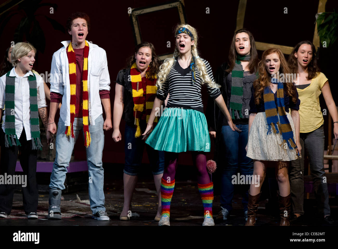 Teenagers perform in a production of "A Very Potter Musical" at LBJ ...