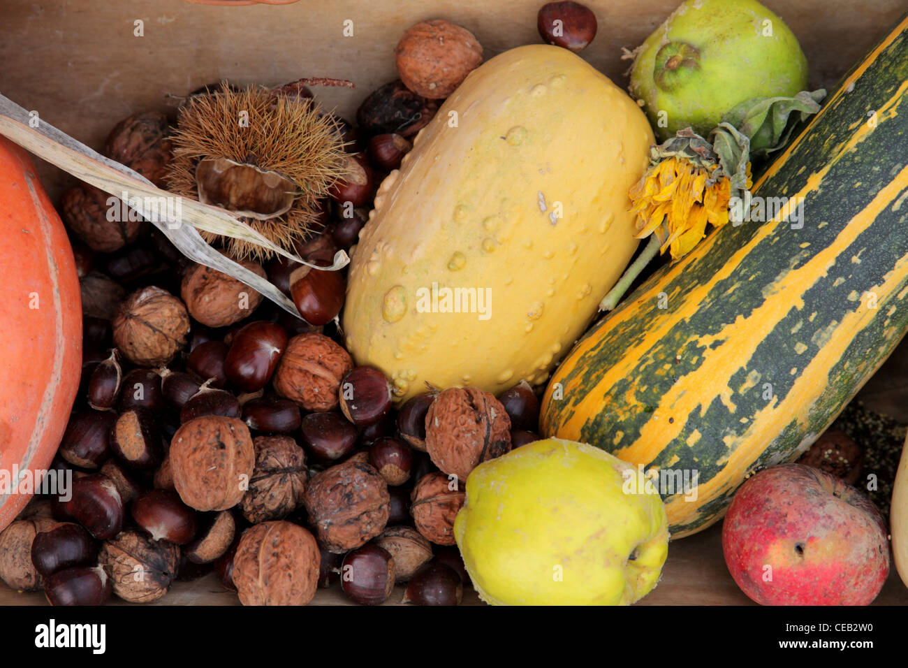 Thanksgiving food collection autumn hi-res stock photography and images ...