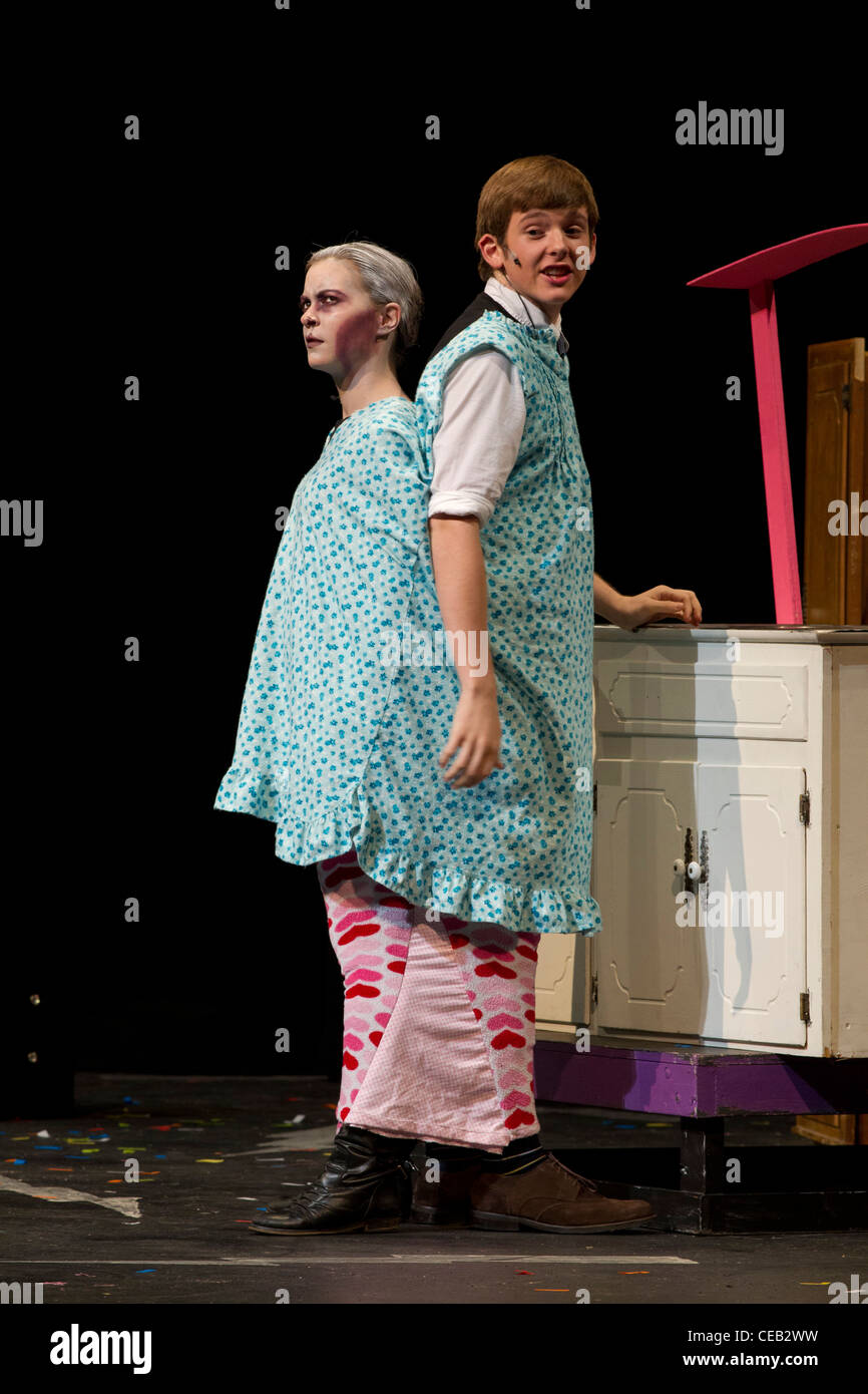 Teenagers perform in a production of "A Very Potter Musical" at LBJ ...
