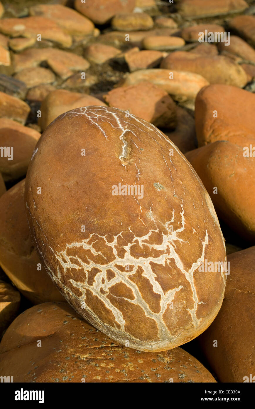 Mineral seams in a riverbank stone Stock Photo - Alamy