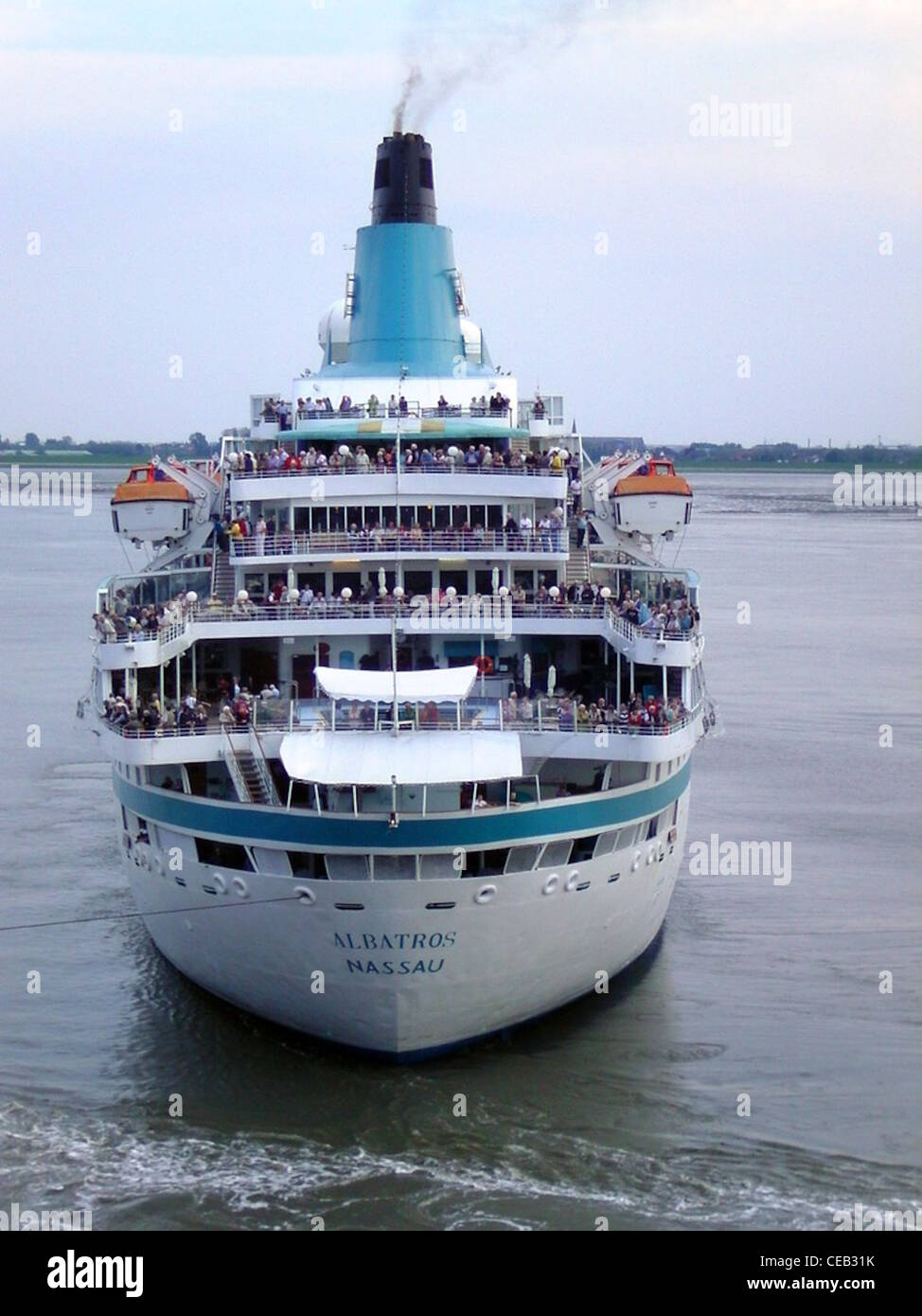 Albatros albatros hi-res stock photography and images - Alamy