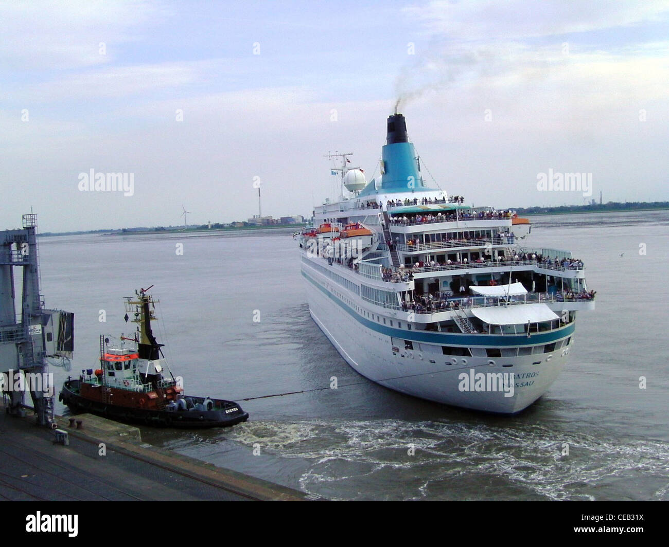 Albatros albatros hi-res stock photography and images - Alamy