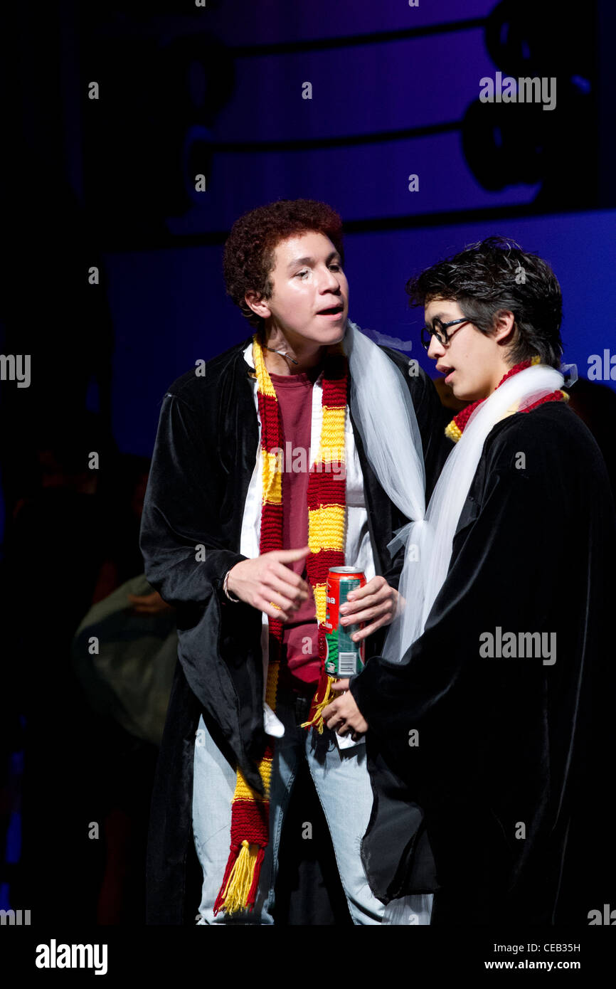 Teenagers perform in a production of "A Very Potter Musical" at LBJ ...