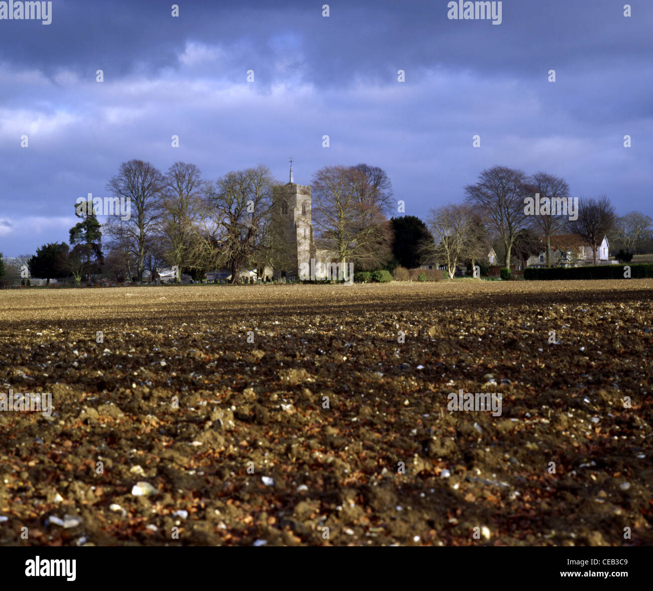 St Cecilia's church, Little Hadham, Hertfordshire Stock Photo - Alamy