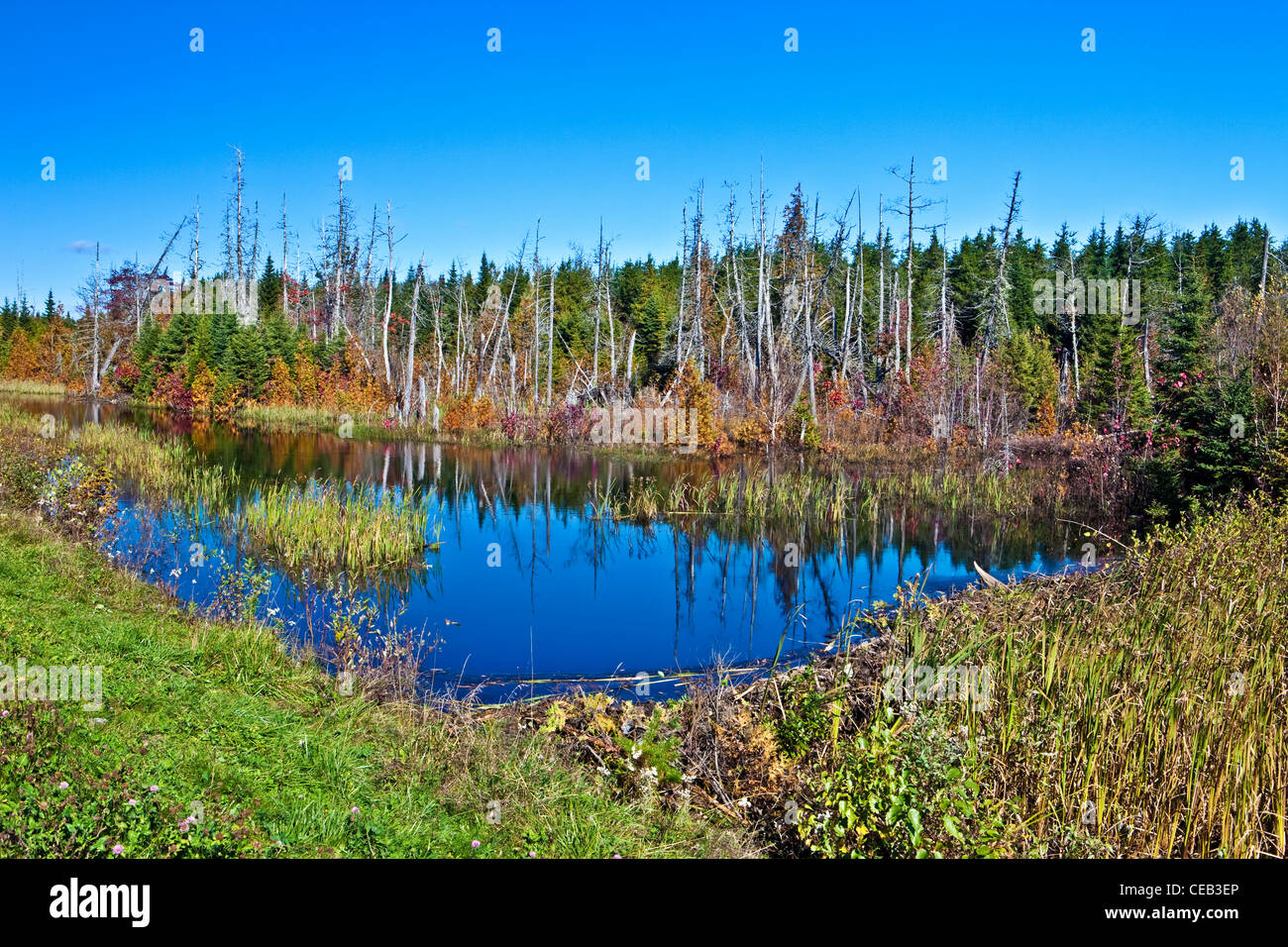 Bathurst canada hi-res stock photography and images - Alamy