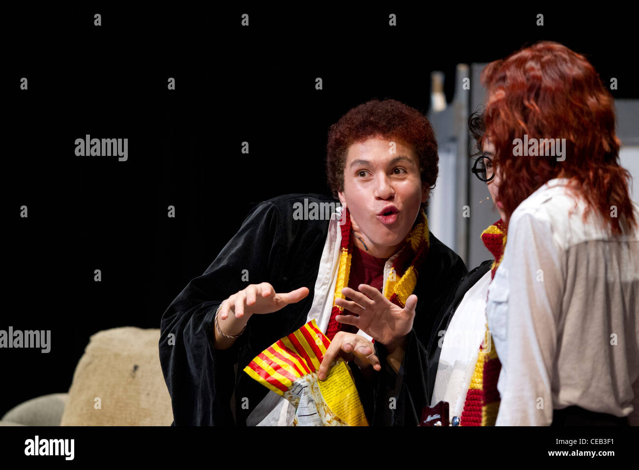 Teenagers perform in a production of "A Very Potter Musical" at LBJ ...