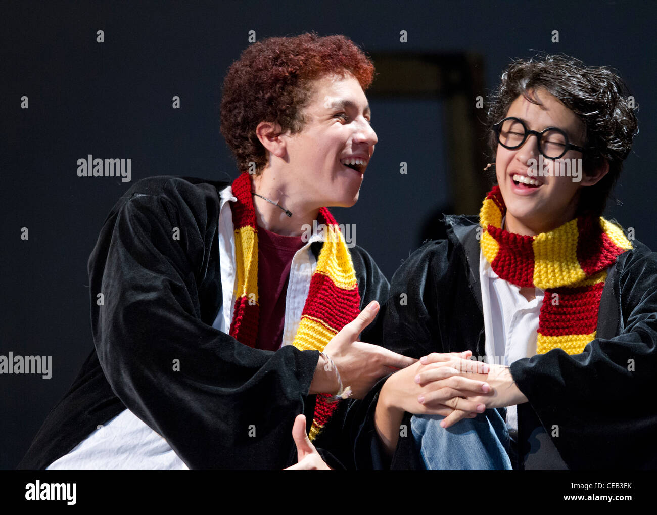 Teenagers perform in a production of "A Very Potter Musical" at LBJ ...