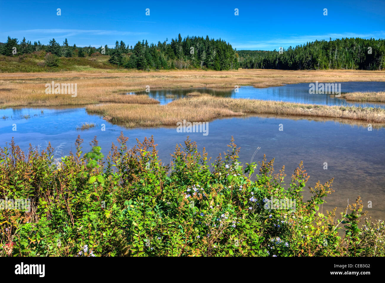 Saltwater Coastal Marsh, near Waterside, New Brunswick Stock Photo - Alamy
