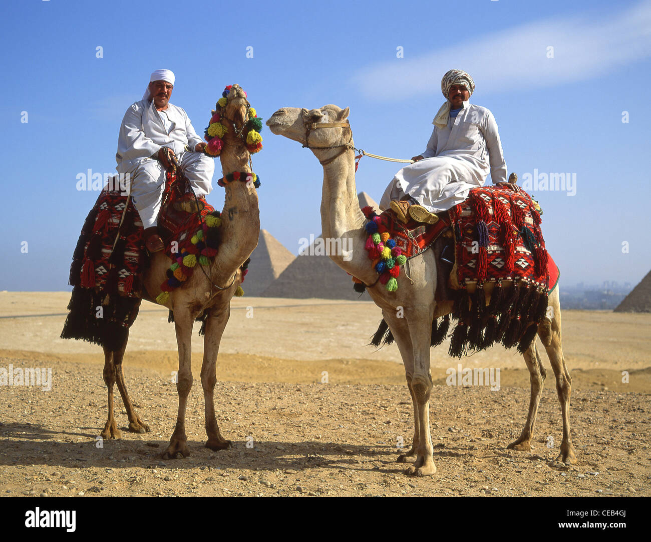 Pyramids giza egypt camels hi-res stock photography and images - Alamy