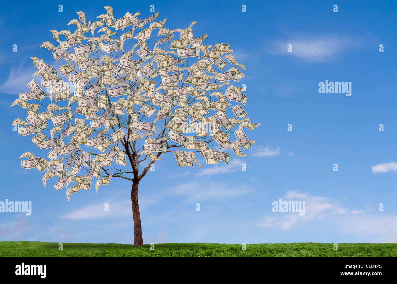 Tree covered banking hi-res stock photography and images - Alamy