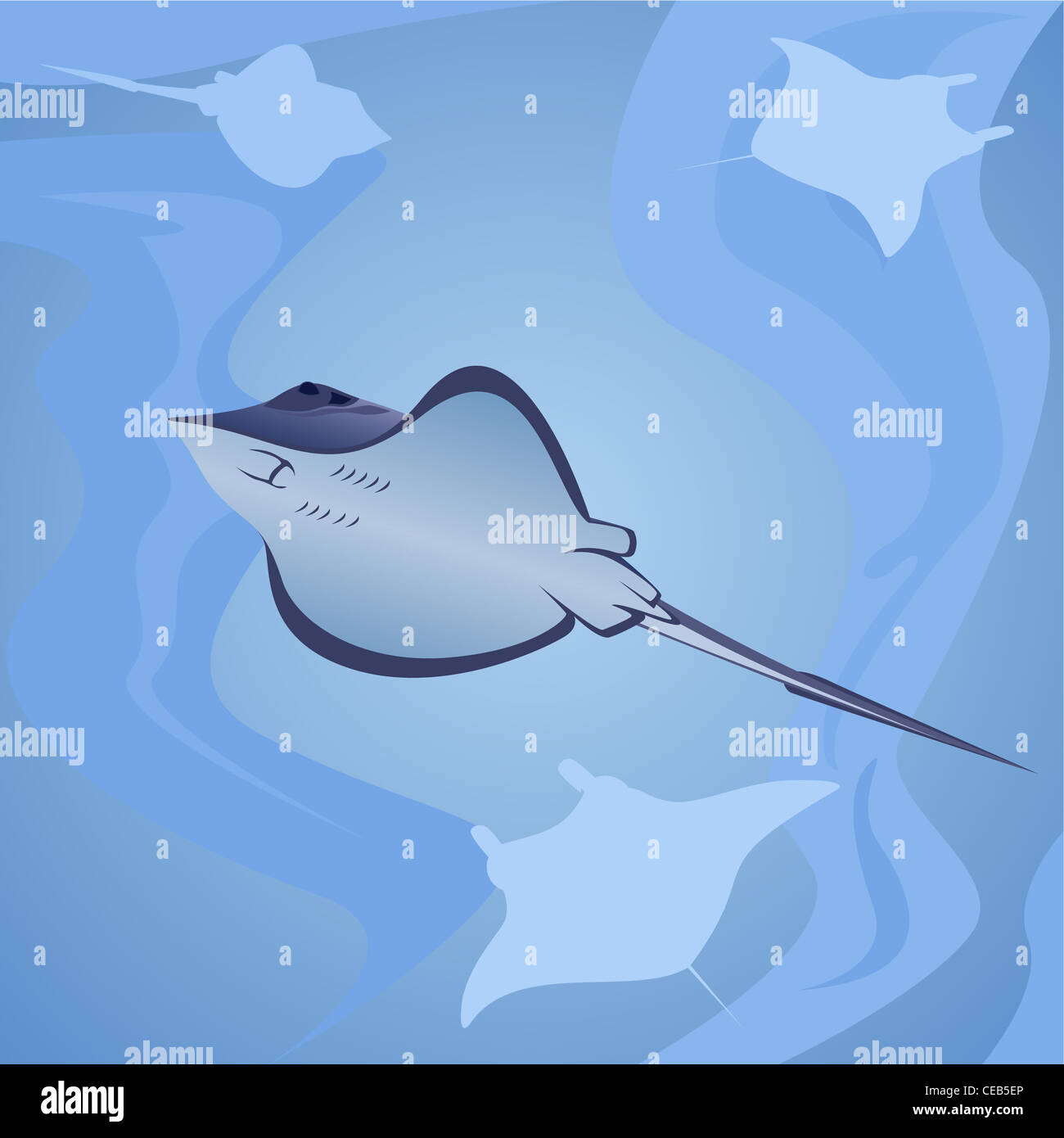 The underwater world. Stingrays swim in the sea Stock Photo - Alamy