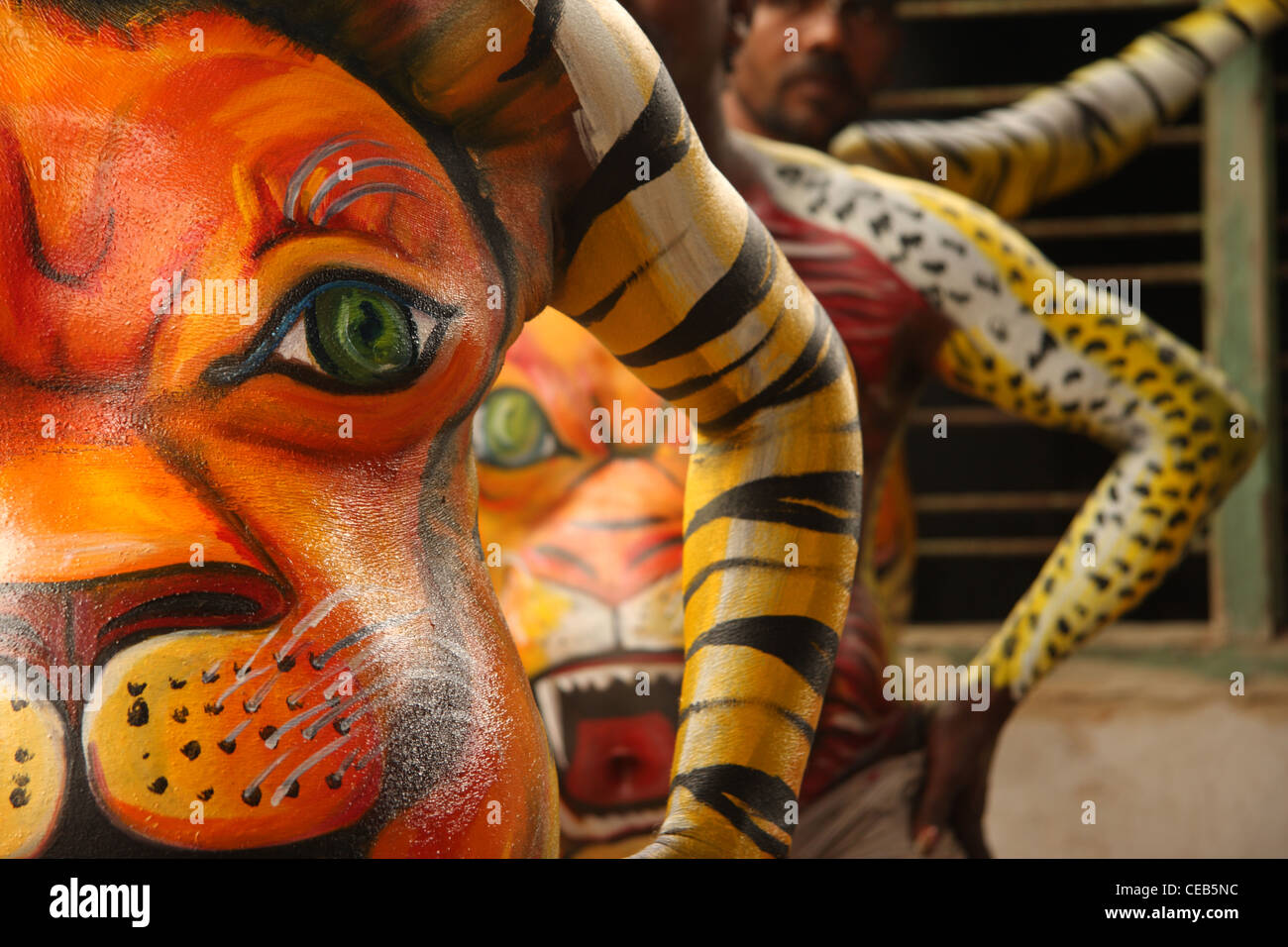 Pulikali, Thrissur, Kerala Stock Photo - Alamy