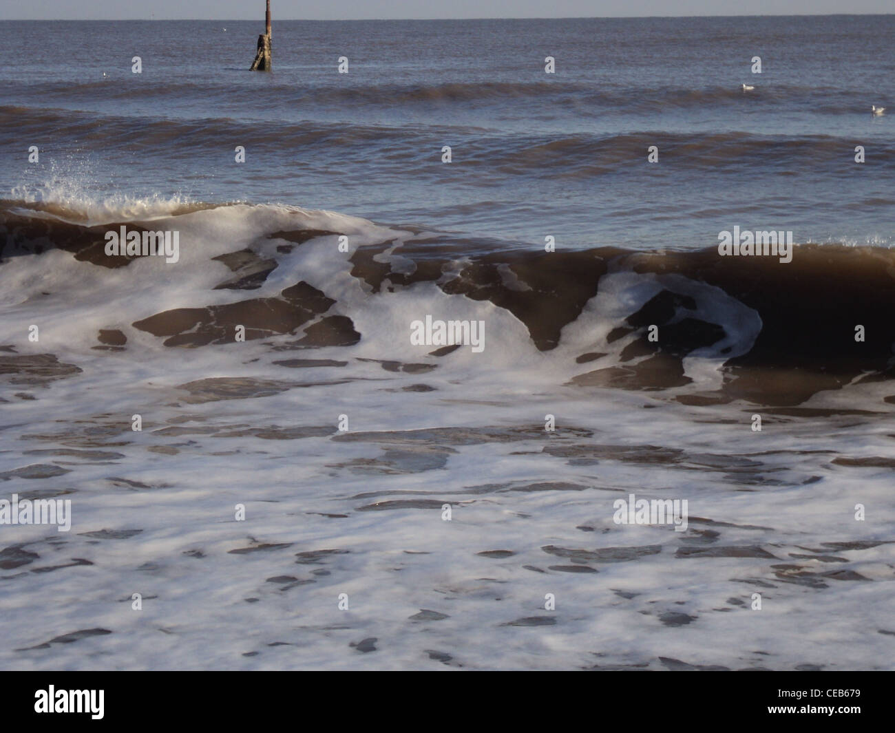 Seawater hi-res stock photography and images - Alamy