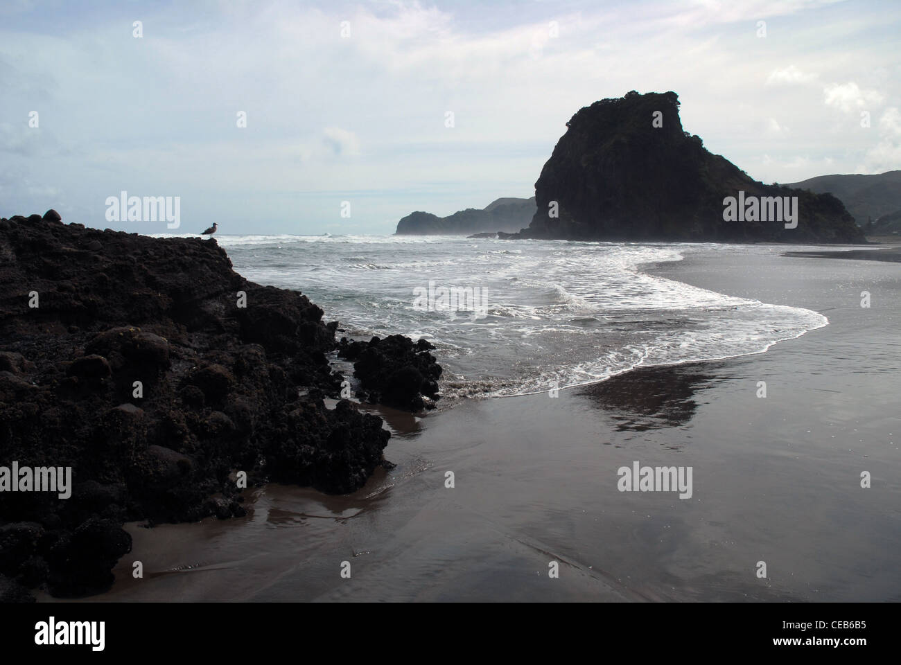 Piha Beach, North Island, NZ Stock Photo - Alamy
