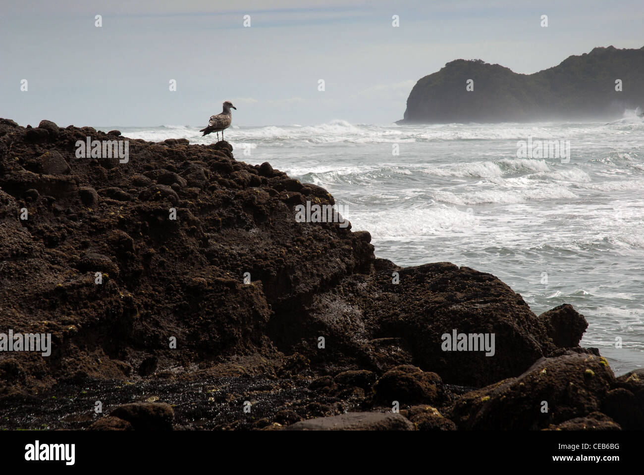 West coast nz beach stones hi-res stock photography and images - Alamy