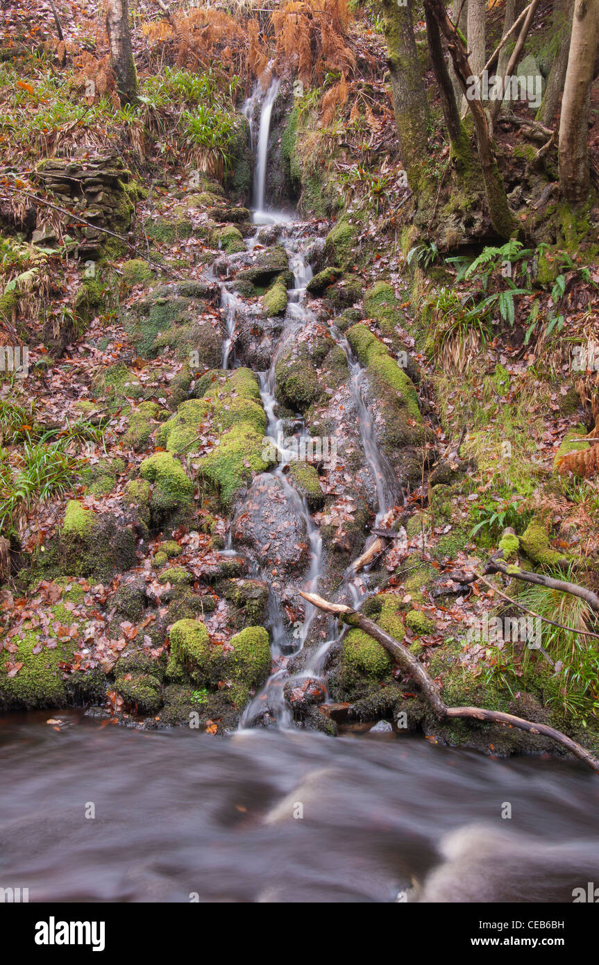 Hamsterley forest autumn hi-res stock photography and images - Alamy