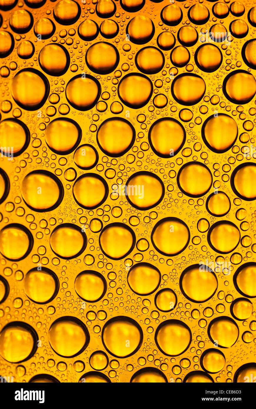water drops on beer bottle Stock Photo - Alamy