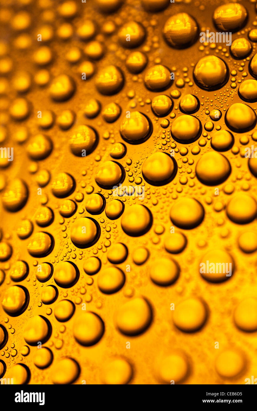 water drops on beer bottle Stock Photo - Alamy