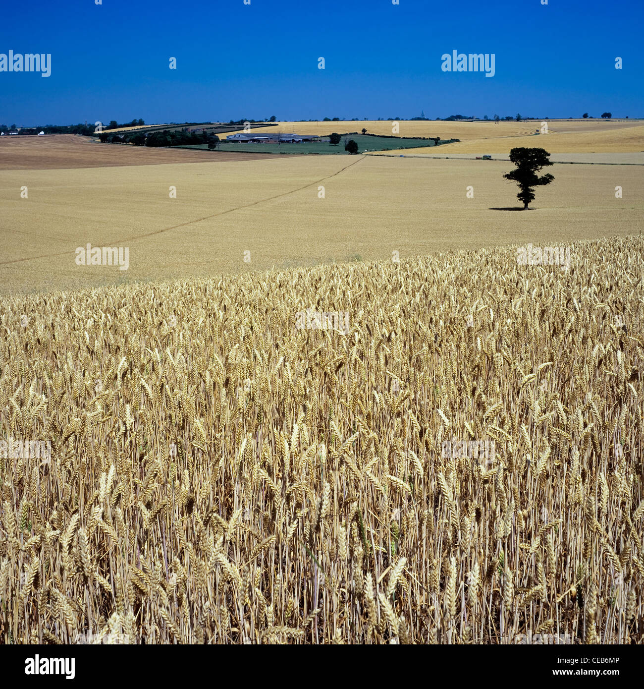 Real estate supplement hi-res stock photography and images - Alamy