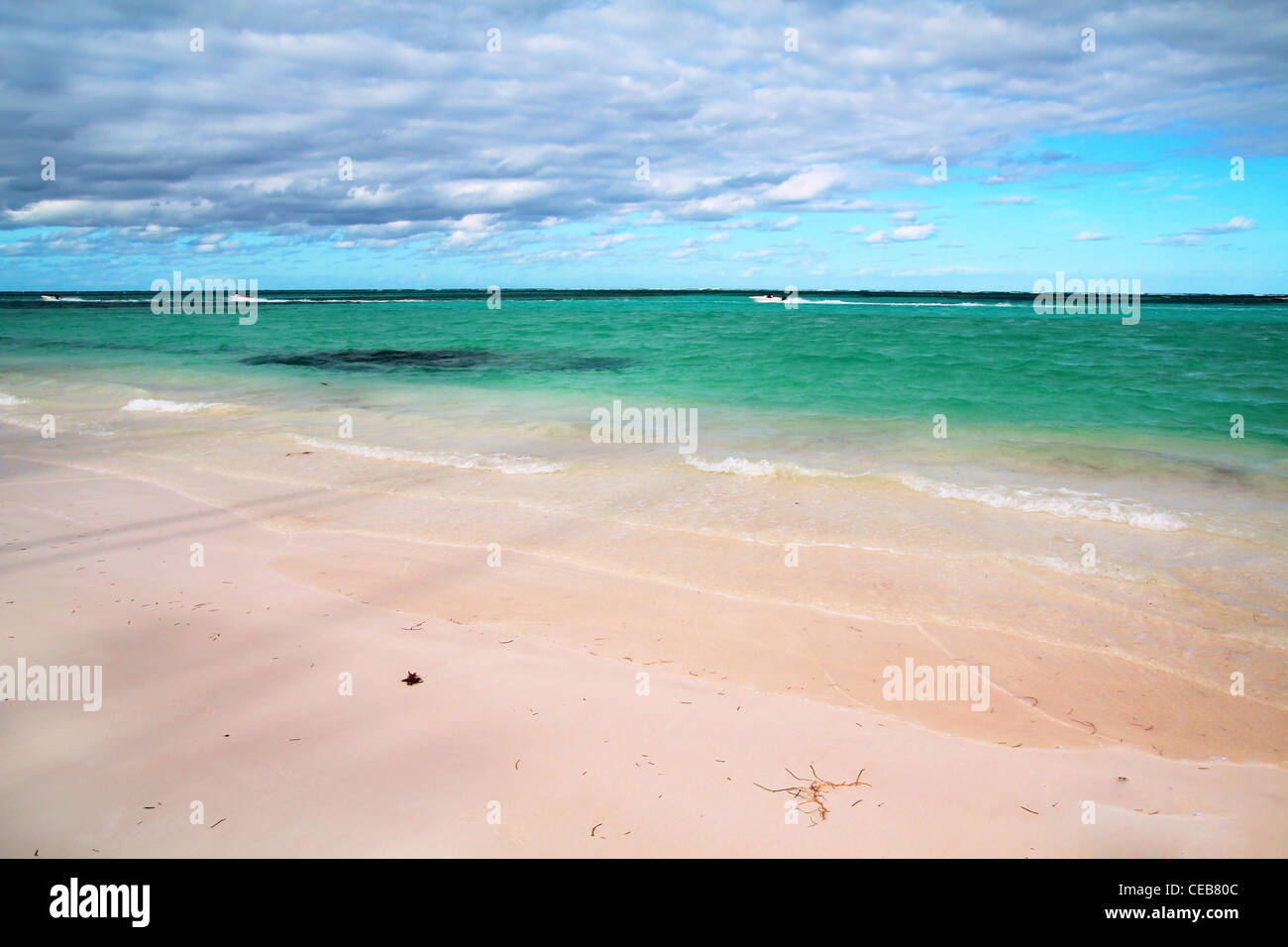 Tropical wild beach Stock Photo - Alamy