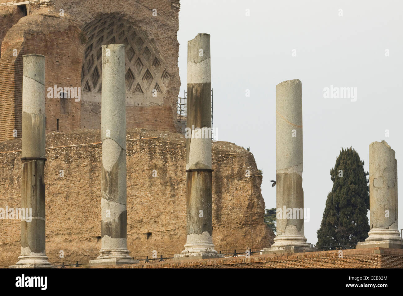 Roman Forum Ruins of several important ancient government buildings at ...