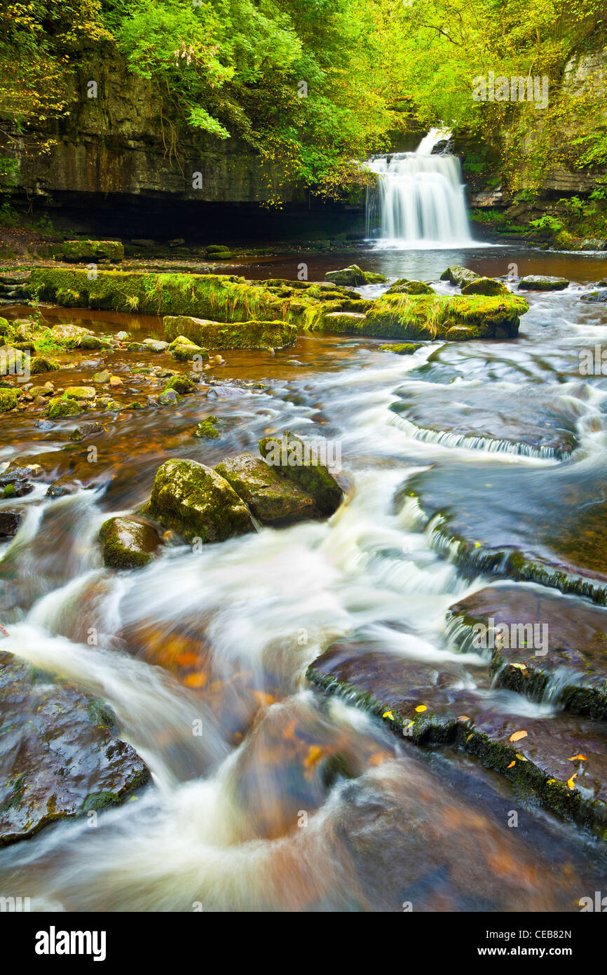 Cauldron falls on Walden beck, West Burton, North Yorkshire Stock Photo ...