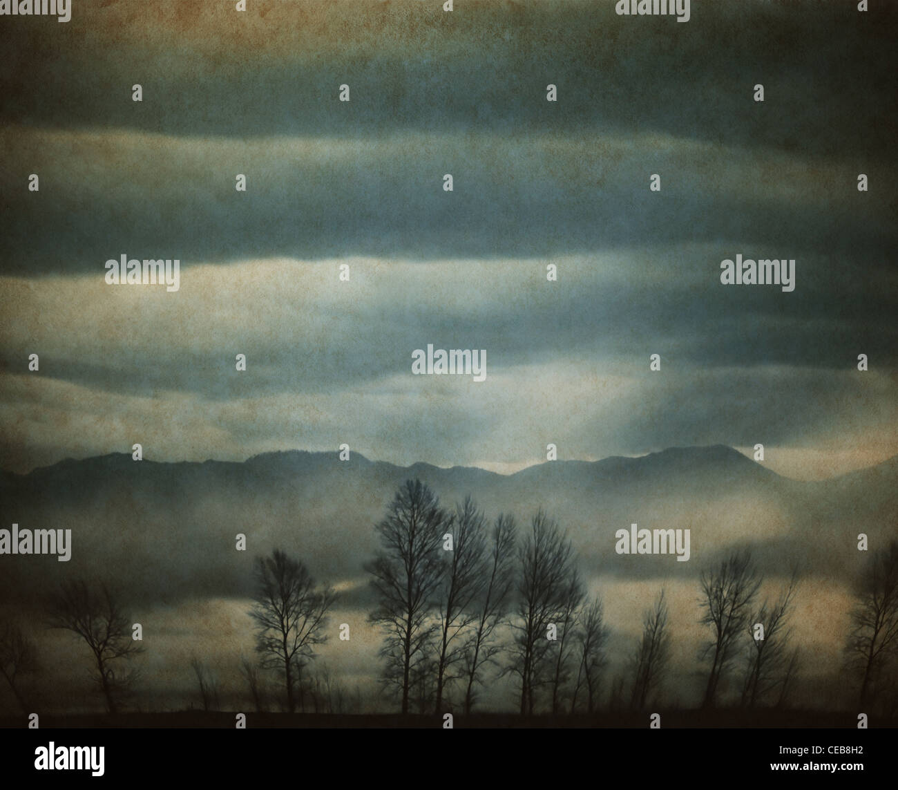 Grunge illustration autumn tree hi-res stock photography and images - Alamy