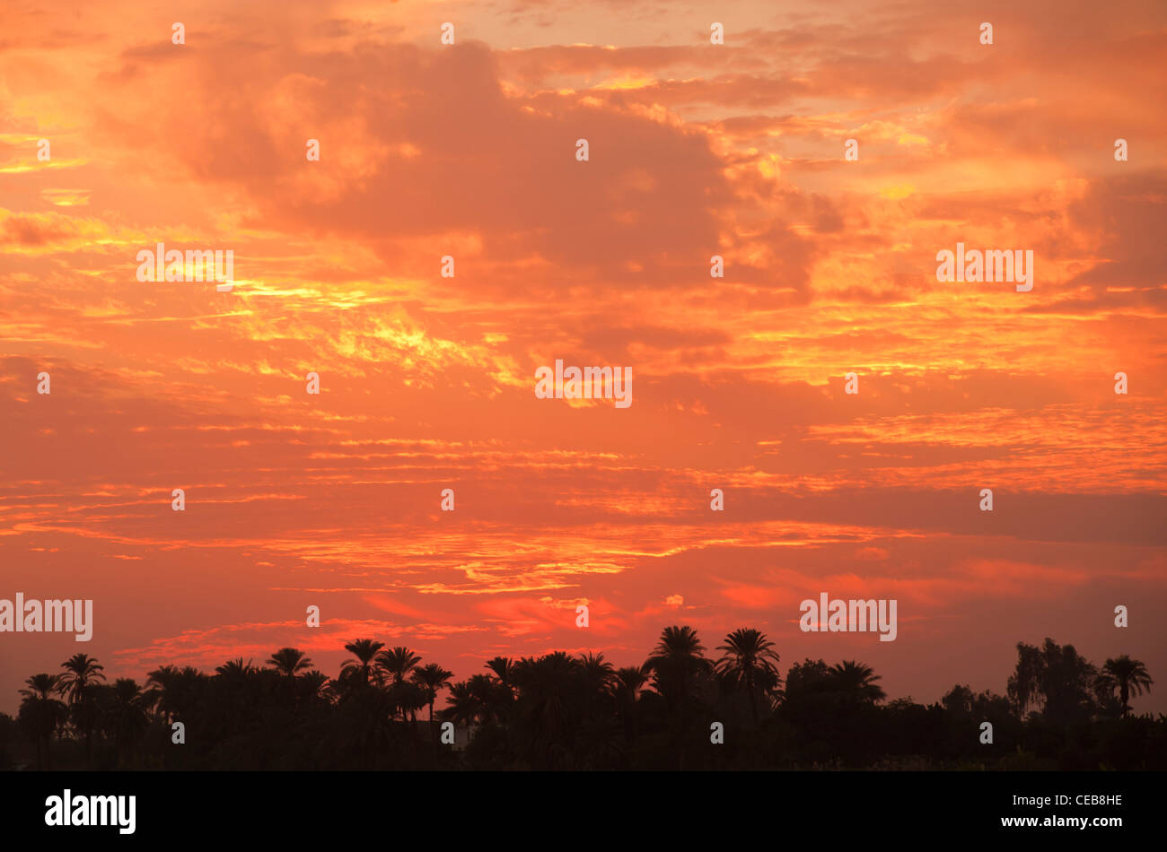 Cloudy sky and the trees hi-res stock photography and images - Alamy
