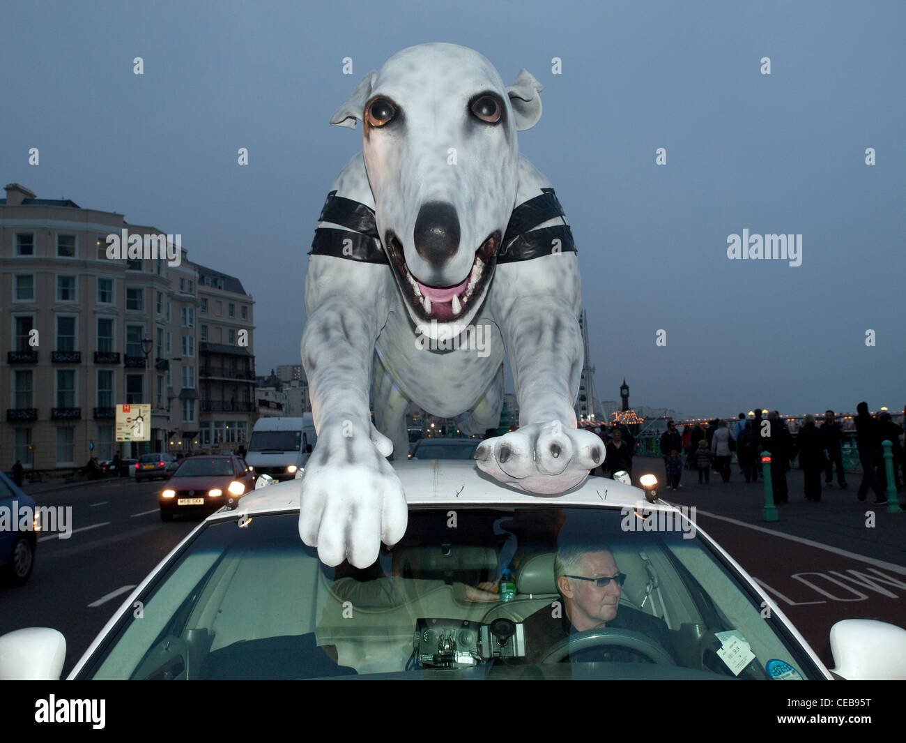 A giant greyhound comes to Brighton Stock Photo - Alamy